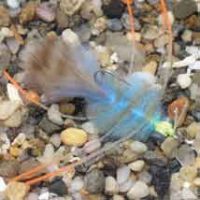 Enrico Puglisi Fly Fishing Flies - TackleDirect