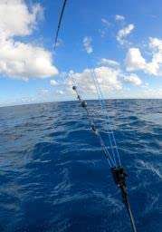 Tigress Pro Series Outrigger Rigging Kit - TackleDirect