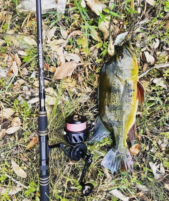 Bull Bay Rods Infantry Spinning Rods - TackleDirect